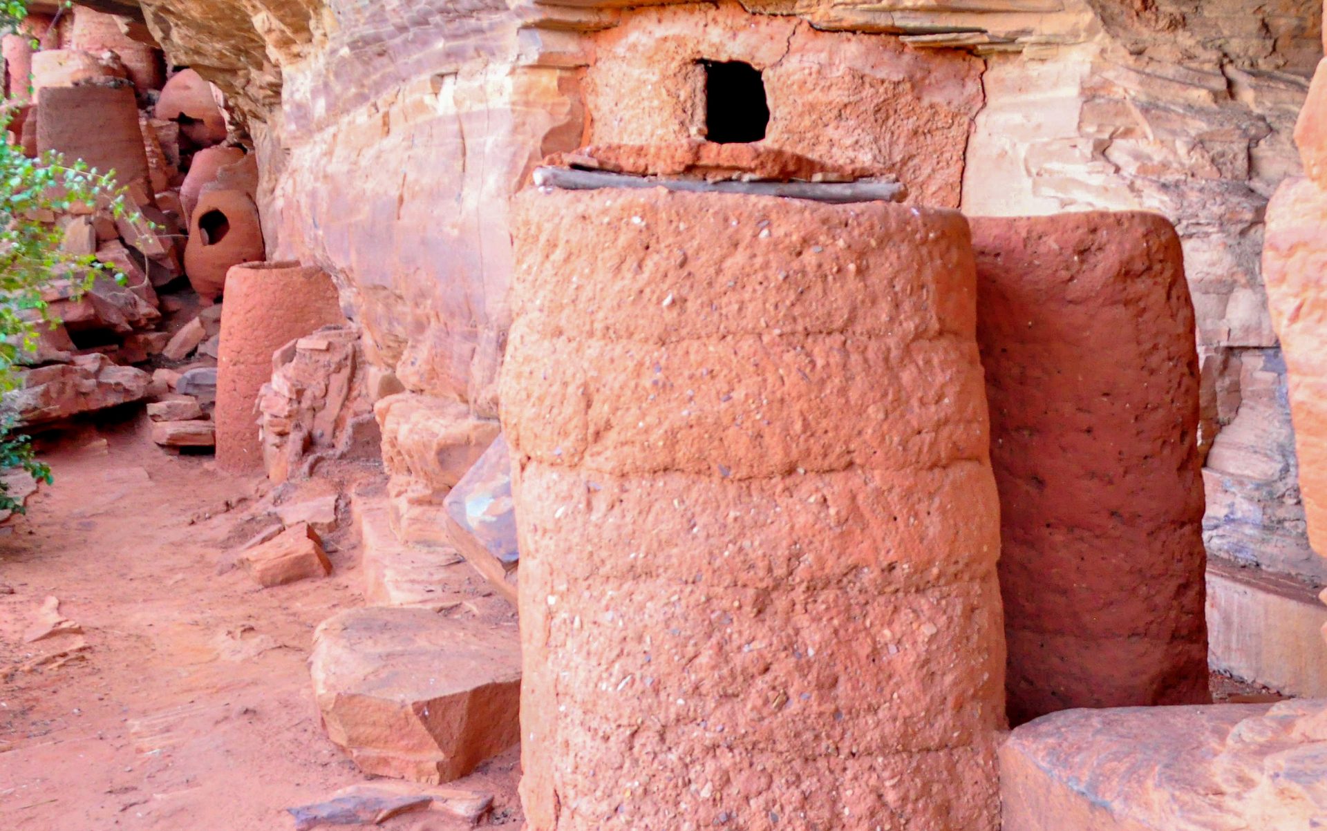 Le parc de Sarakawa - Togo-tourisme